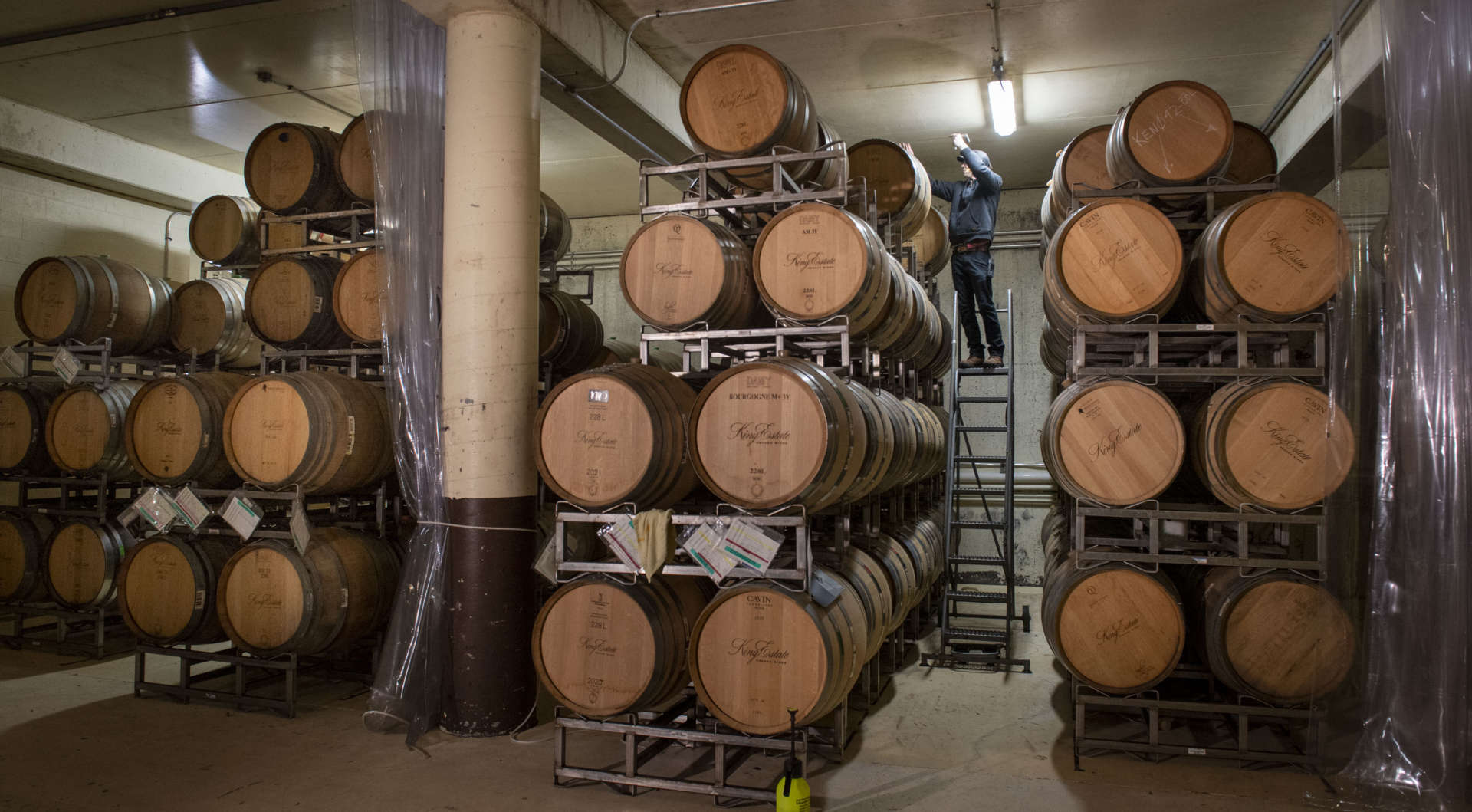 The Yeast We Can Do! - King Estate Winery