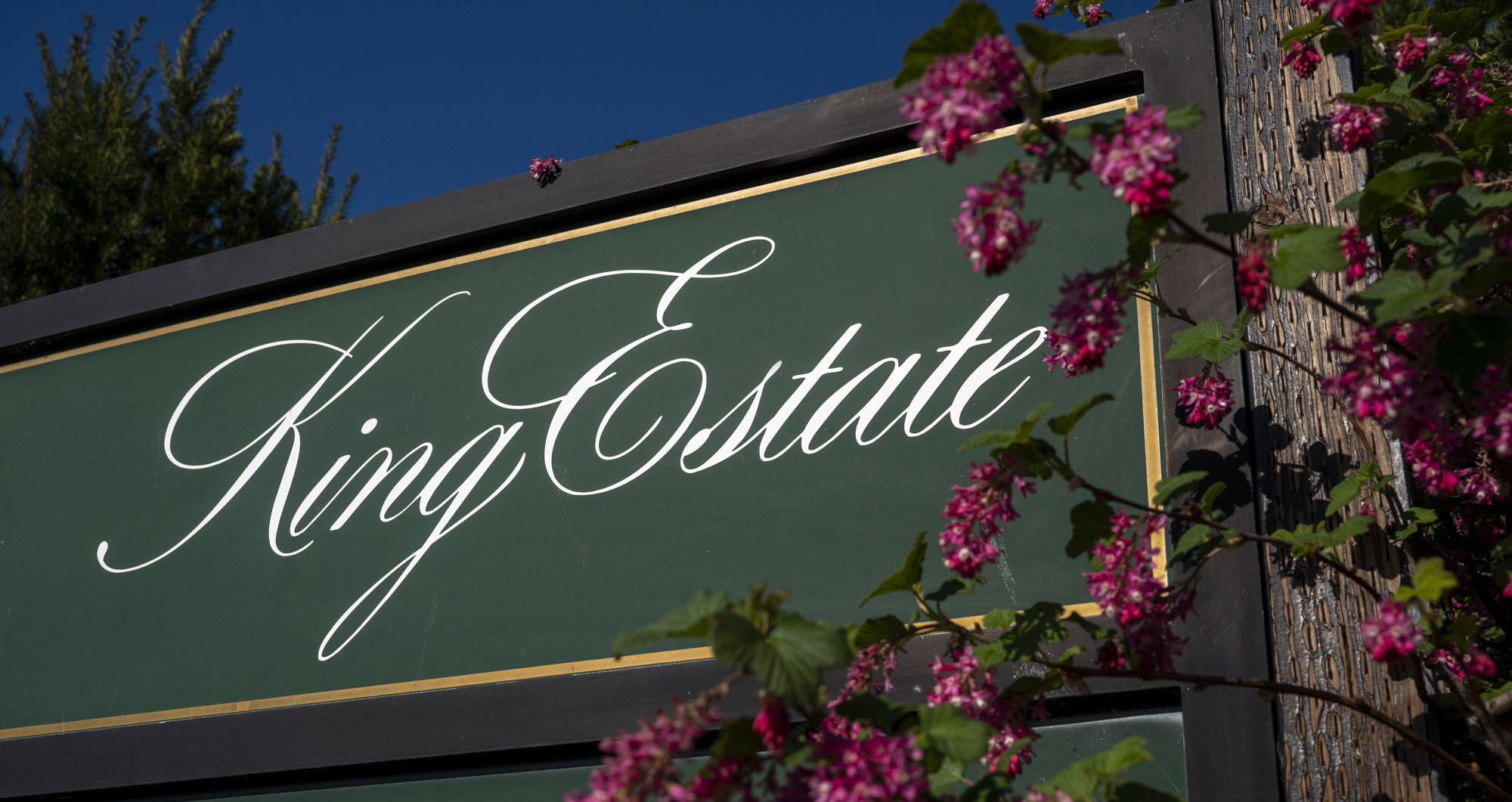 Discover King Estate's Small Lot Wines - King Estate Winery