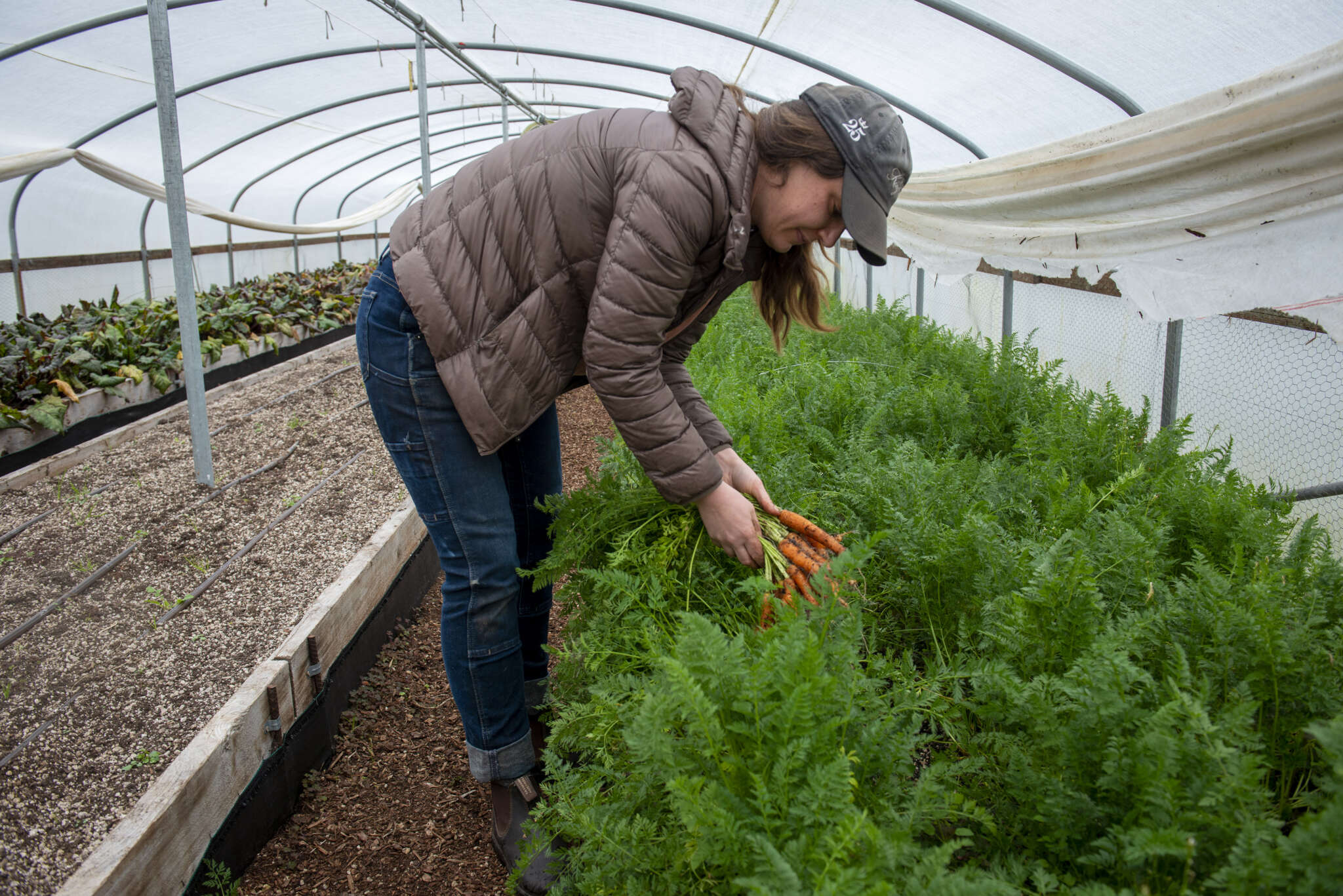 Spotlight on: Erin Greene, Culinary Gardens Manager - King Estate Winery