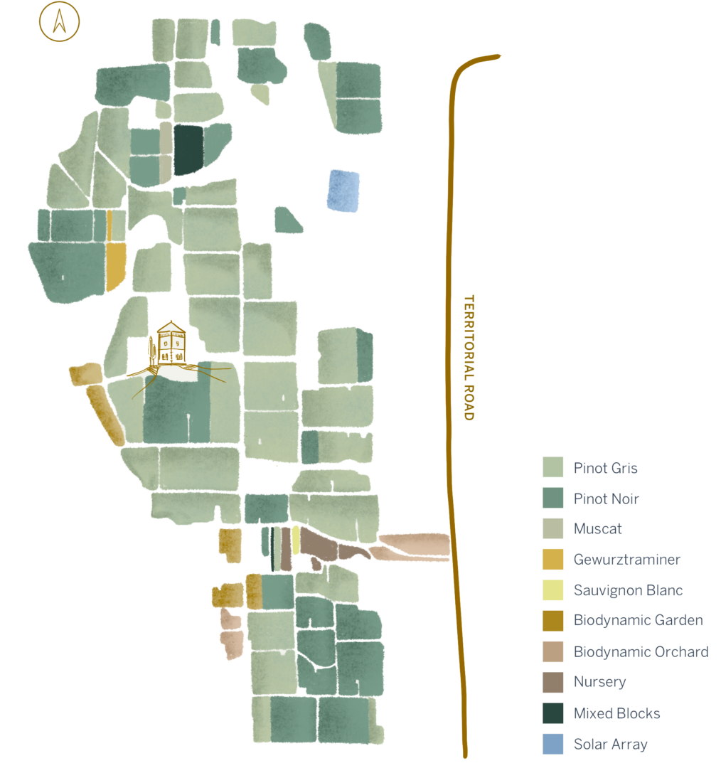 The Estate | King Estate Winery & Vineyards - Oregon