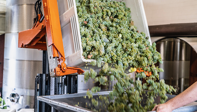 Wine Grading - Making the Grade | King Estate Winery